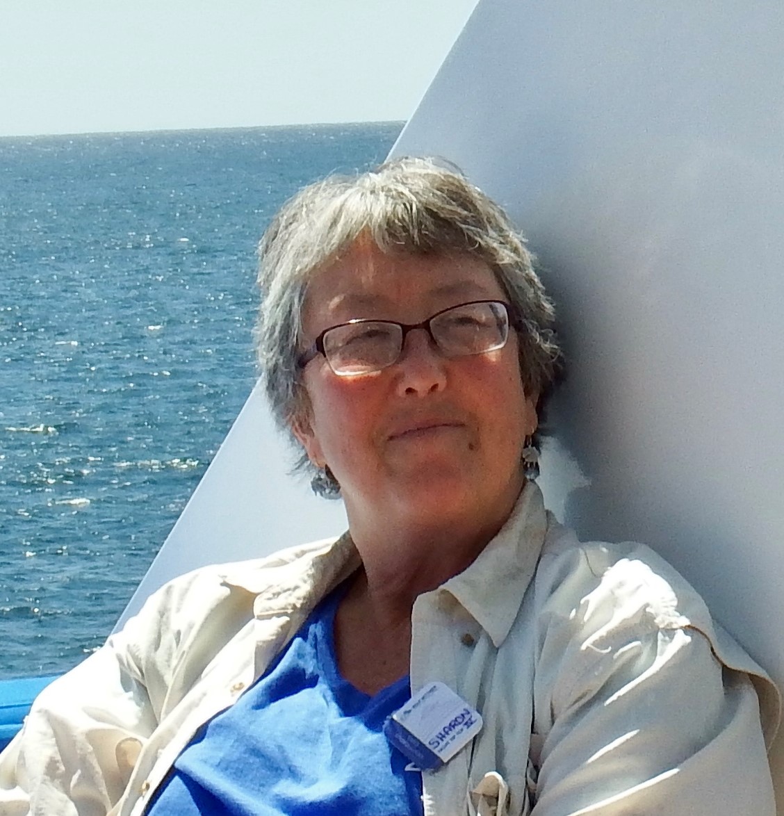 Board of Directors – CEINC